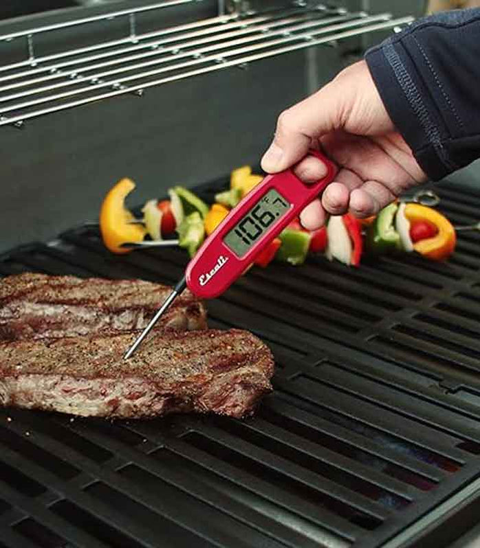 Compact Folding Digital Thermometer — Culinary Apple
